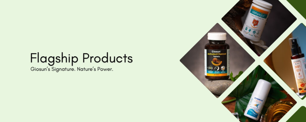 Flagship Products Archives - Giosun